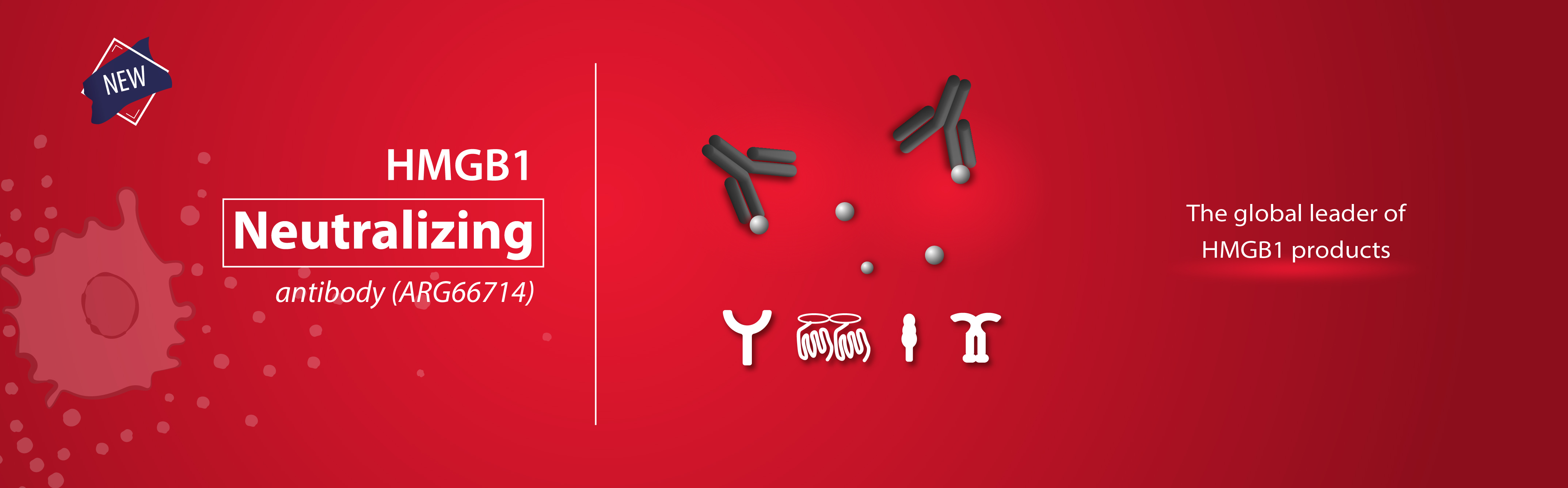 New HMGB1 neutralizing antibody is released - 企业动态 - 丁香通